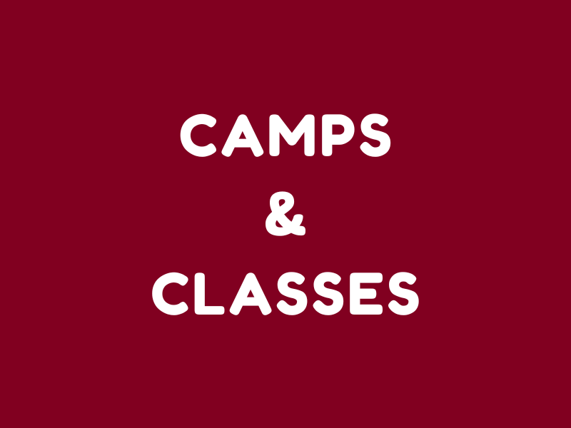 Home | Roaming Gnome Theatre